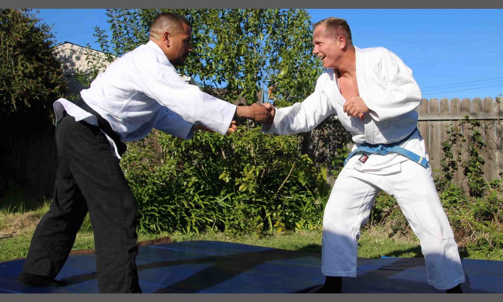 Danzan Ryu Jujutsu – Wasenshi Kan Martial & Healing Arts